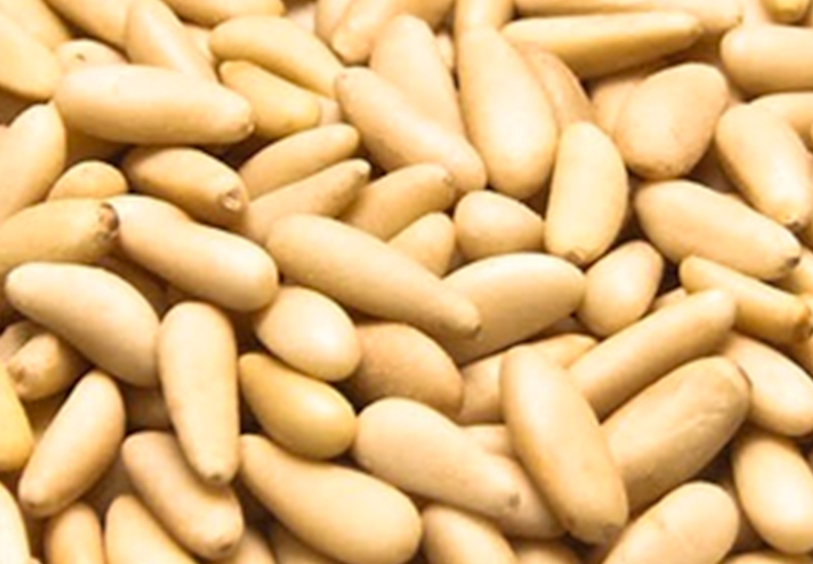 Piñones – Frutos Secos Casa Lola